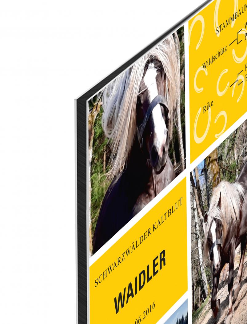 Bildhaftes Boxenschild SCHWARZWÄLDER KALTBLUT kaufen » puranda.de