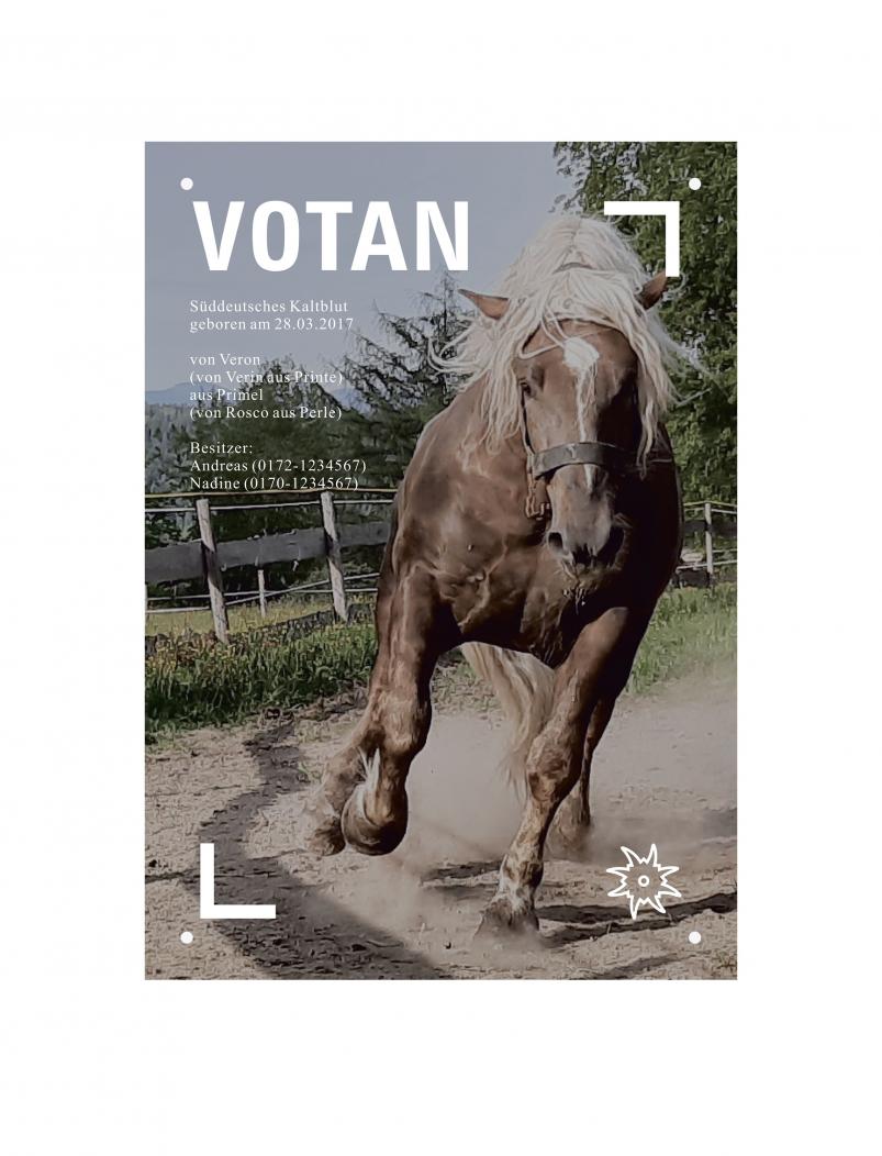 Hochformatiges Boxenschild SÜDDEUTSCHES KALTBLUT kaufen » puranda.de