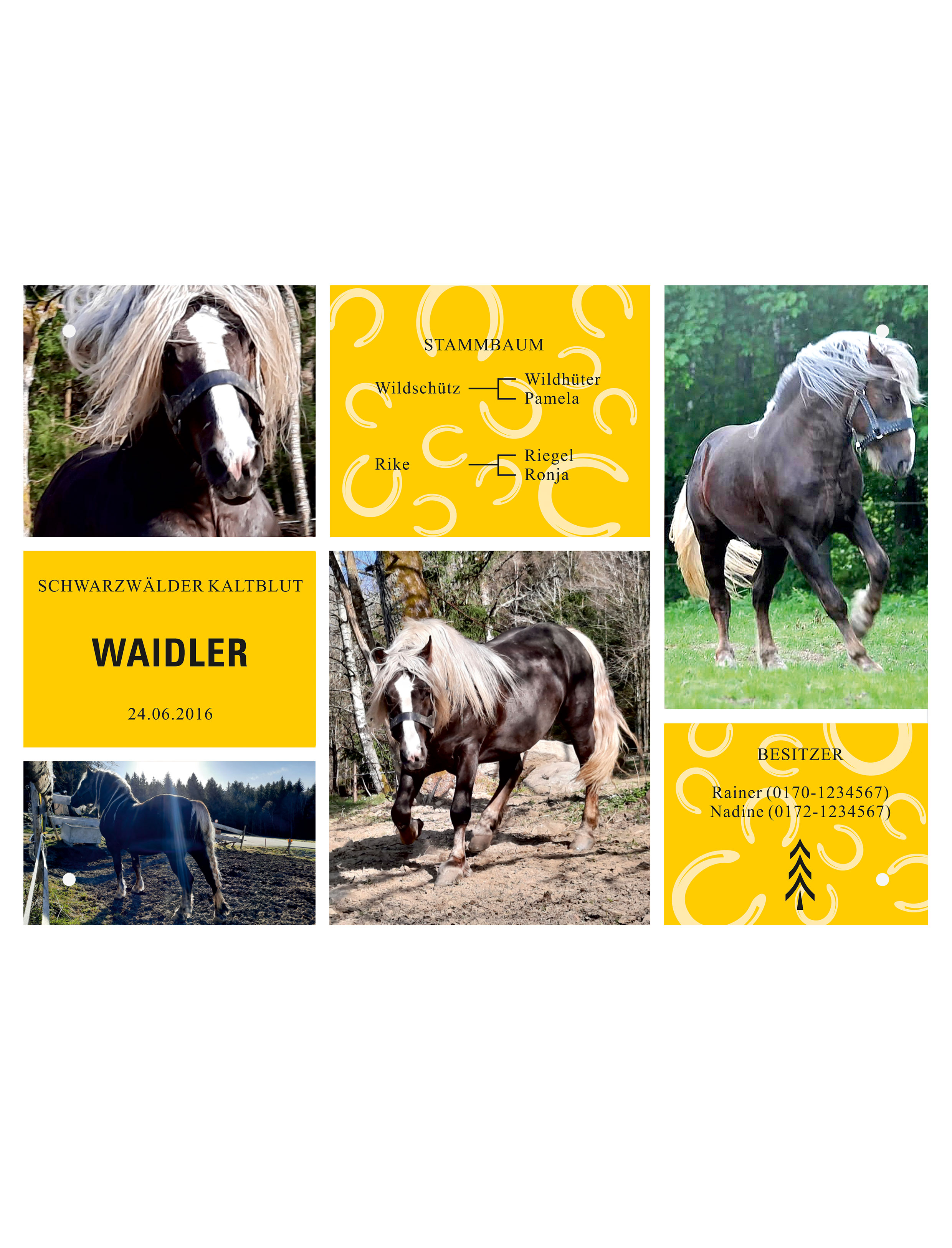 Bildhaftes Boxenschild SCHWARZWÄLDER KALTBLUT kaufen » puranda.de