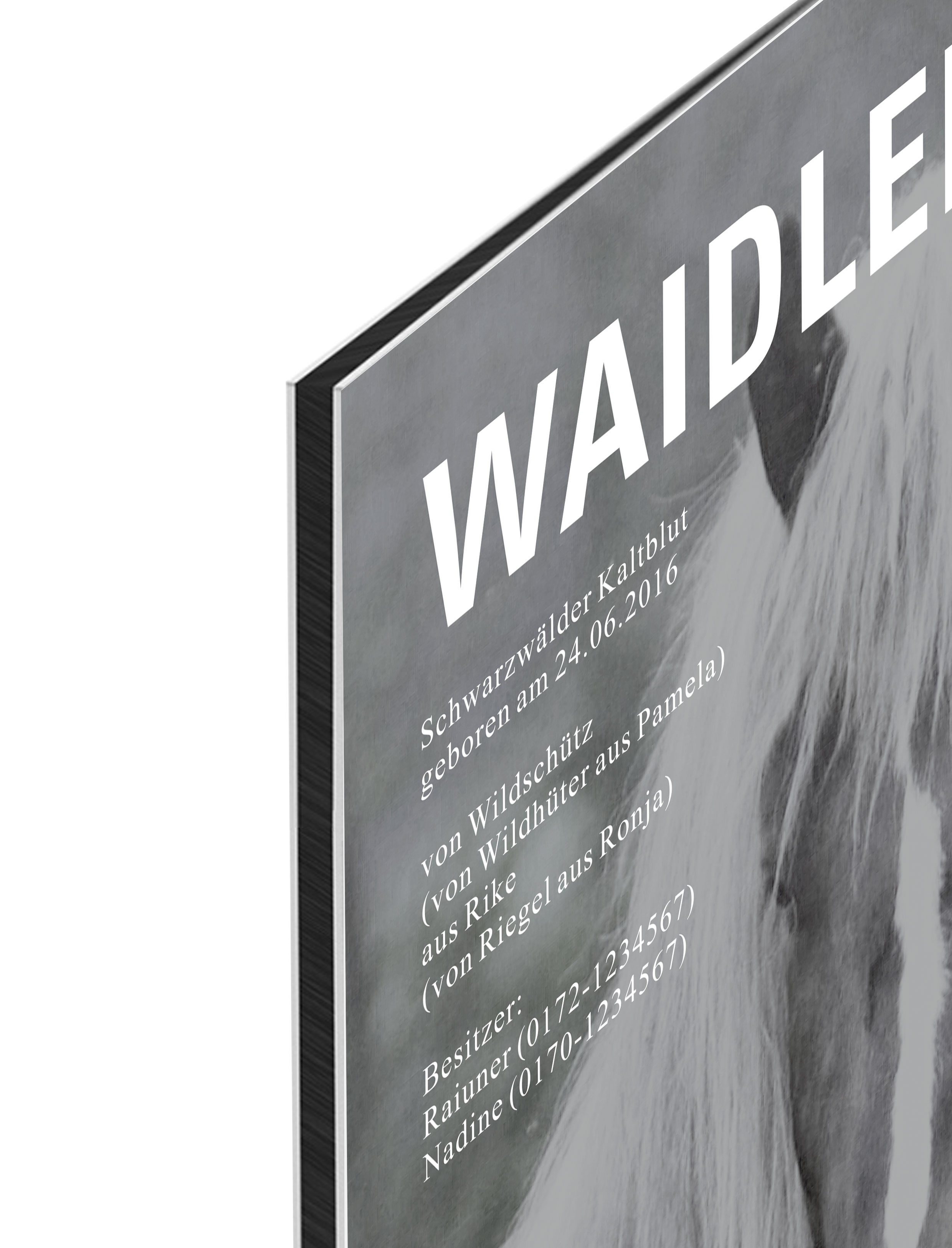 Hochformatiges Boxenschild SCHWARZWÄLDER KALTBLUT kaufen » puranda.de