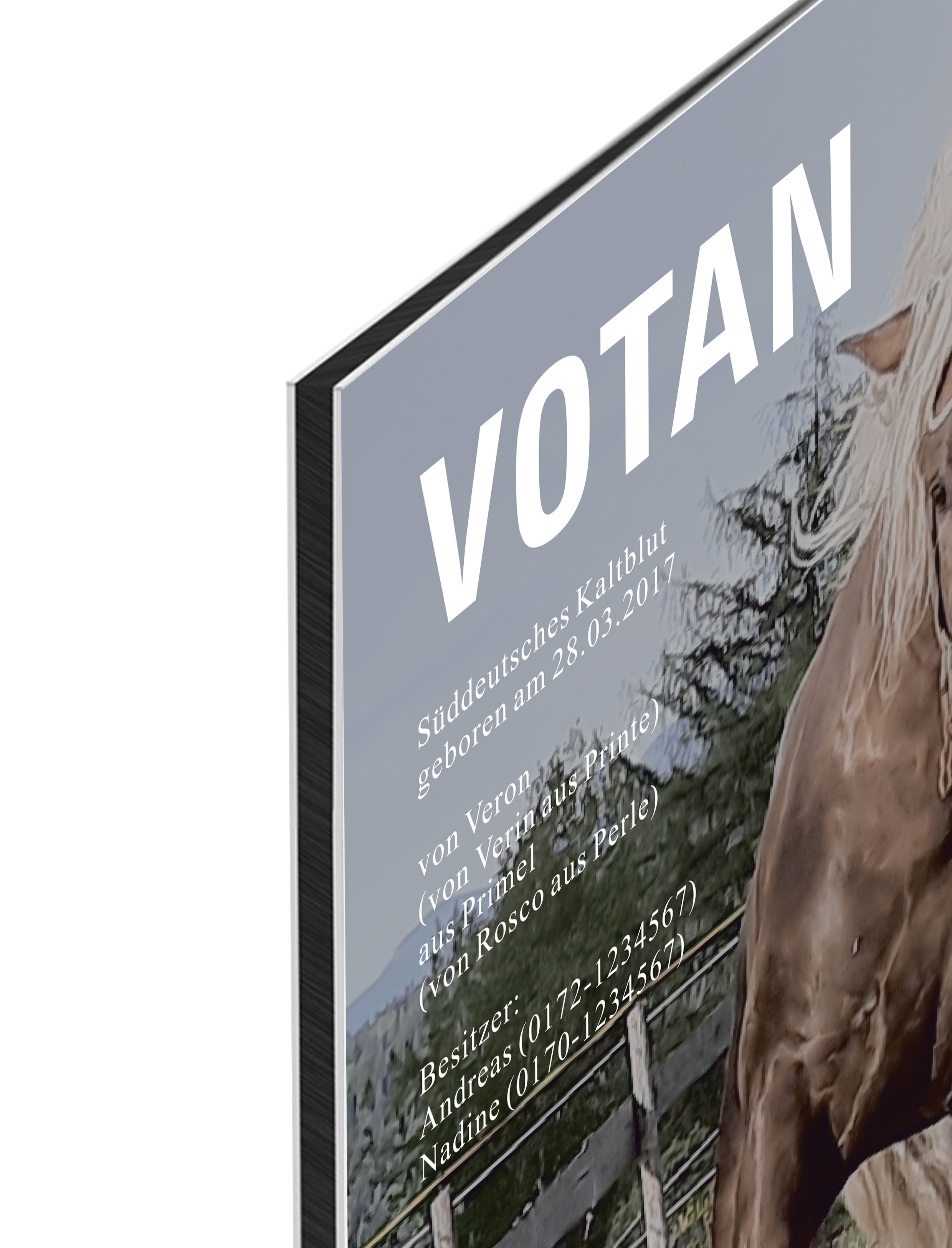 Hochformatiges Boxenschild SÜDDEUTSCHES KALTBLUT kaufen » puranda.de